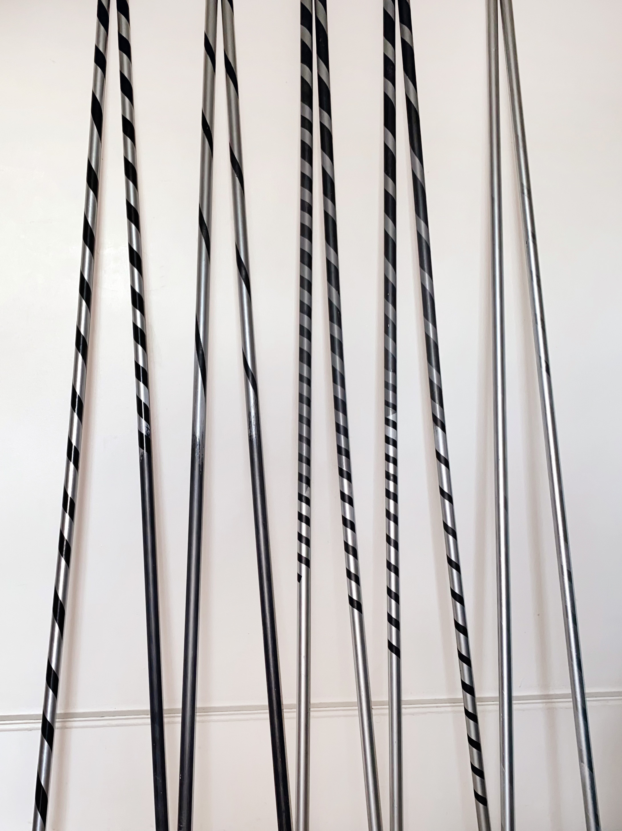 Sarah Roshem – Corps communs